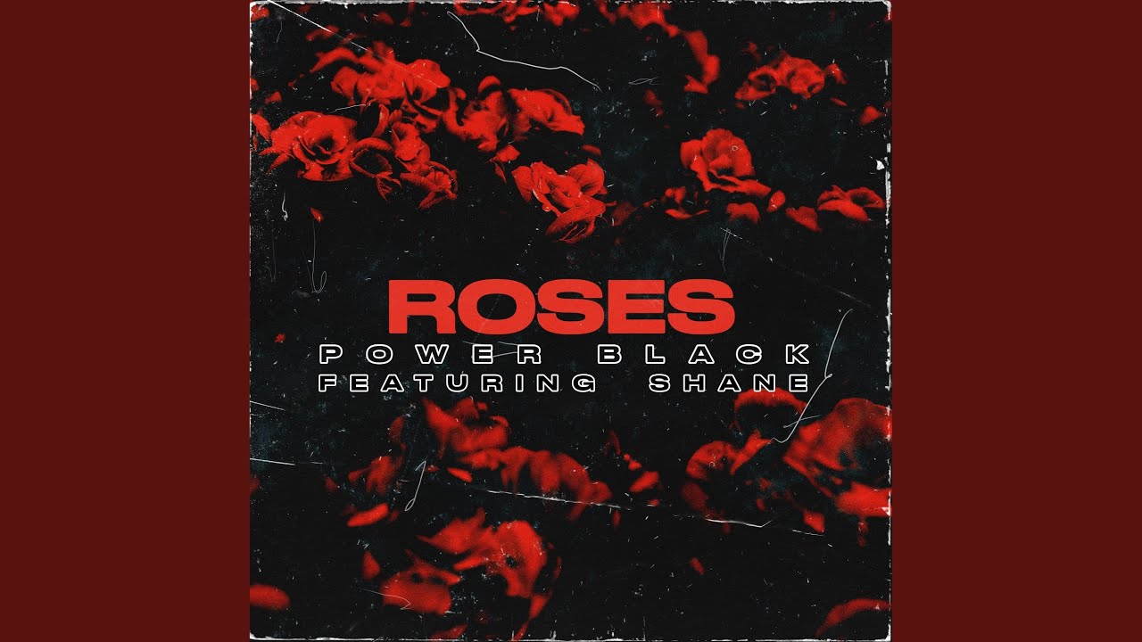 Roses (feat. Shane) - YouTube