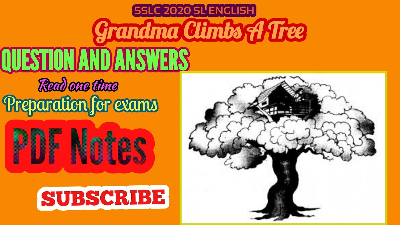 Grandma Climbs A Tree Q&A 2020-21 - YouTube