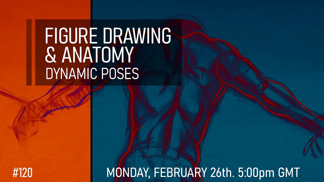 Figure Drawing & Anatomy - Dynamic Poses #120 - YouTube