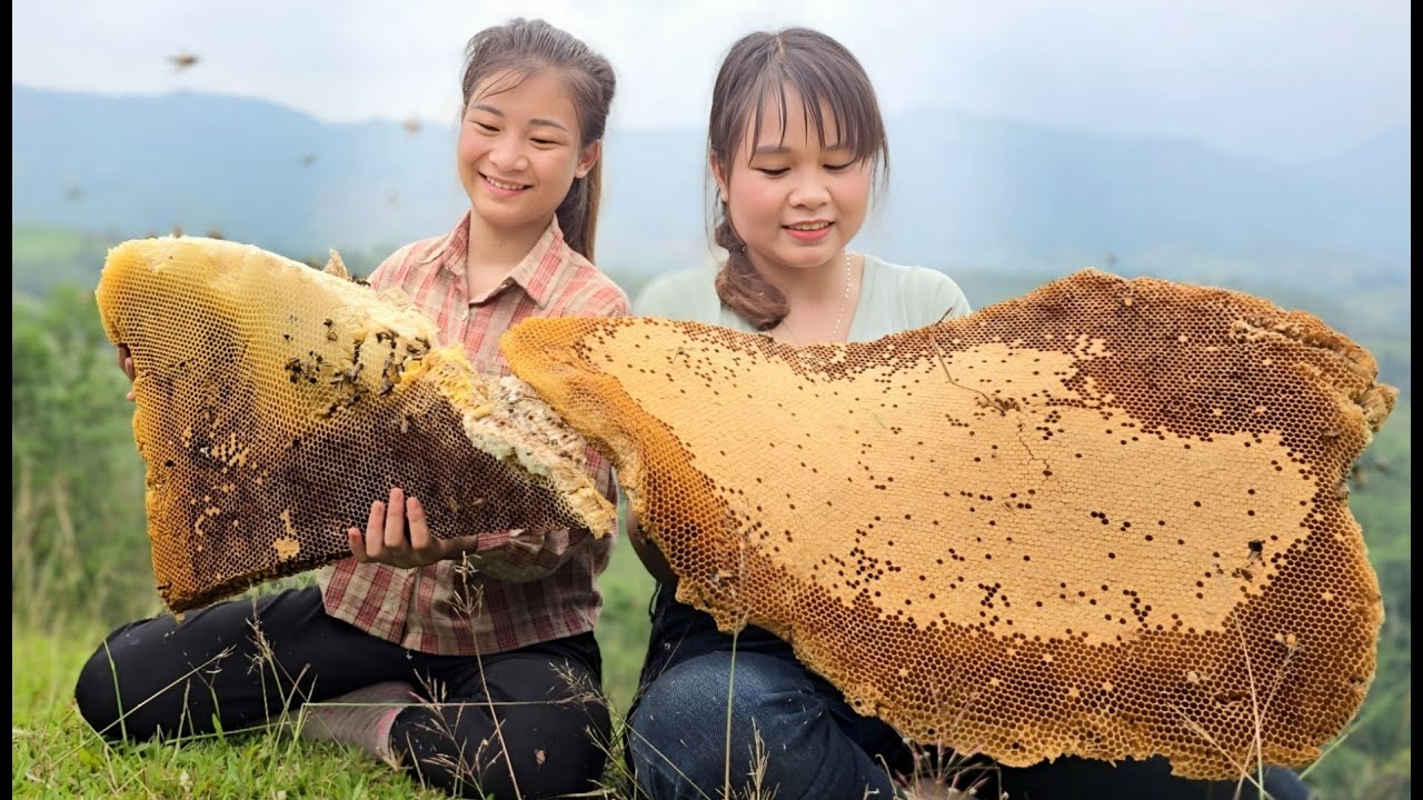 A Vietnamese orphan girl fishes alone with her two dogs to make a living - ha thi muon - YouTube ...