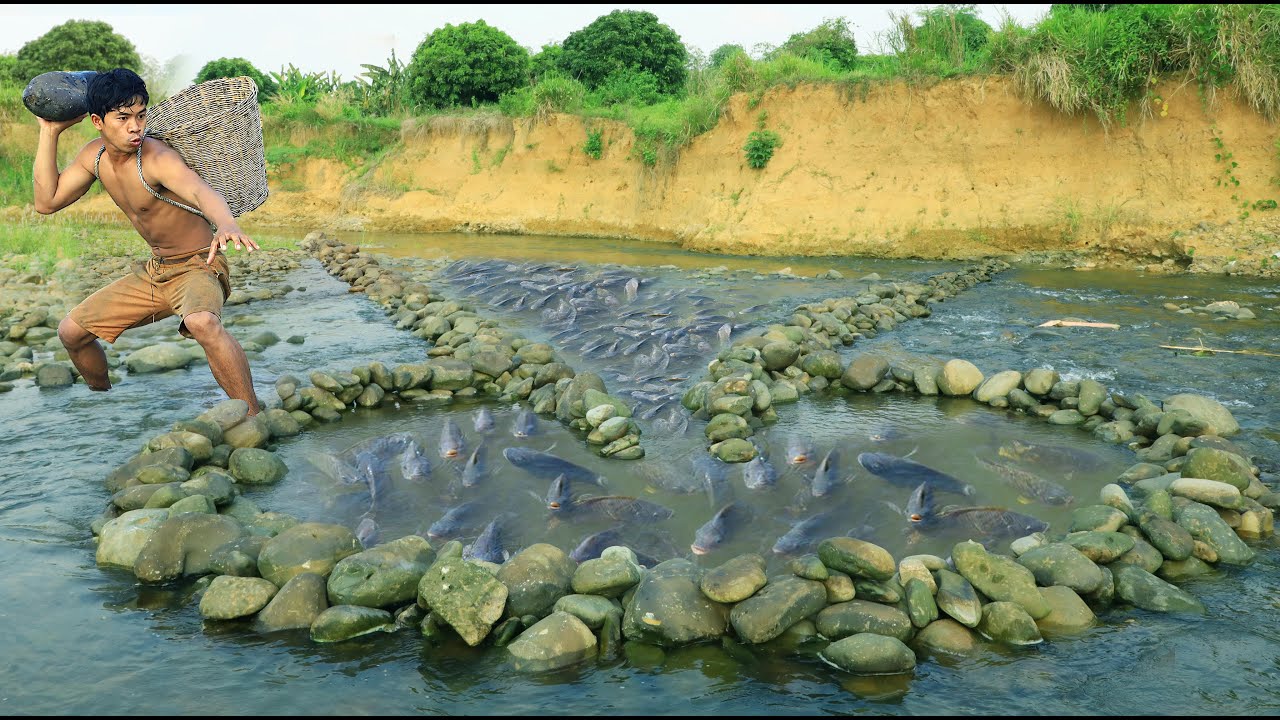 reative a stone dam to trap fish and cook fish in the forest of ...