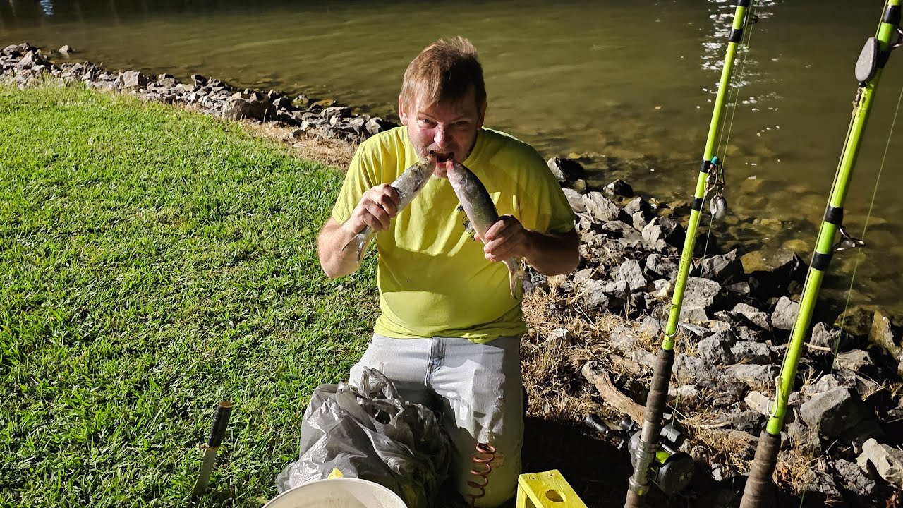Live Fishing! Tennessee River! Ft Loudon! - YouTube