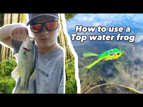 How to use a topwater frog | Bass Fishing - YouTube