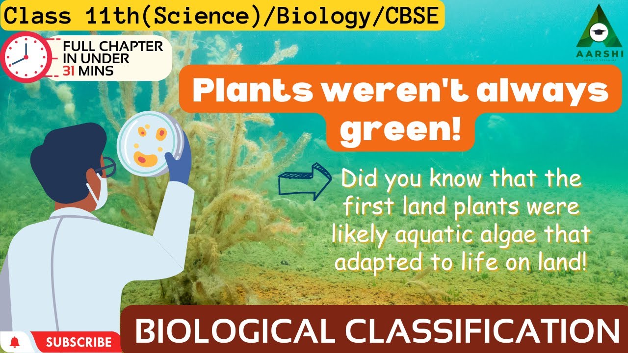 Biological Classification: Your Keys to the Kingdom of Life (CBSE 11th ...