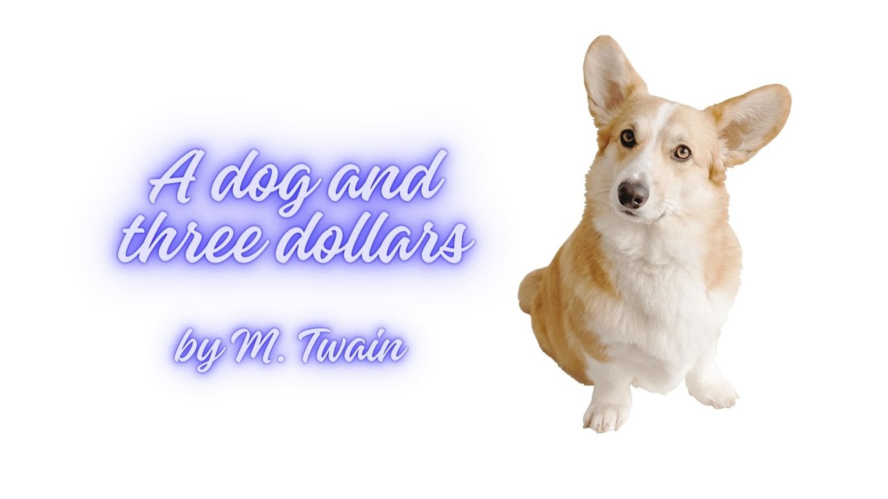 A dog and three dollars - YouTube