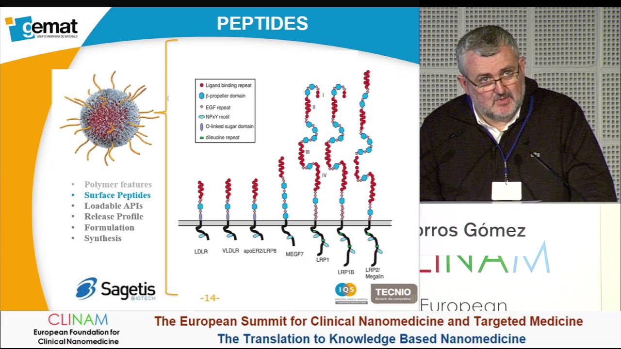 Peptide‐functionalized Nanoparticles as Dual Targeting Drug Delivery ...