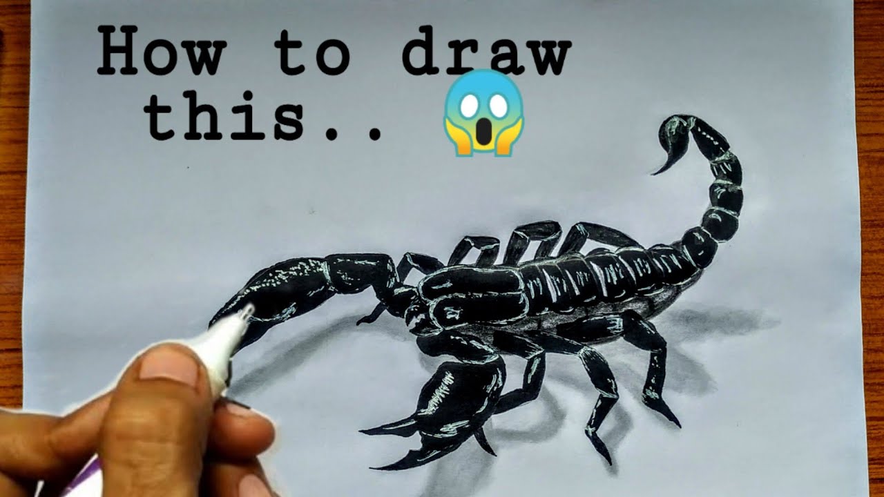 How To Draw 3D Scorpion Drawing | Optical illusion | New Art Video l ...