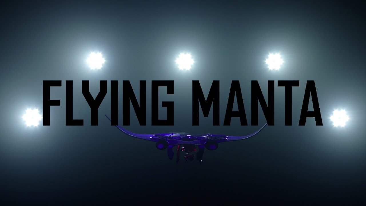 【予告編】 FLYING MANTA - YouTube