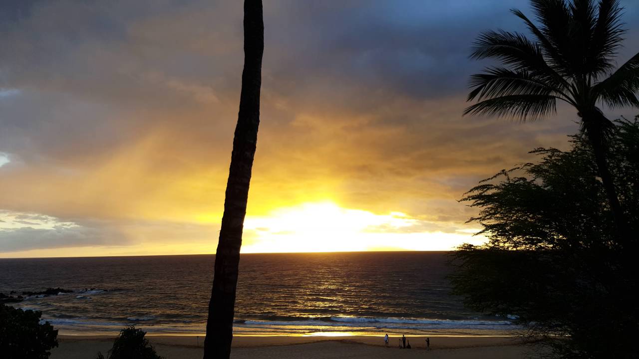 Maui Hawaii Video Series - YouTube