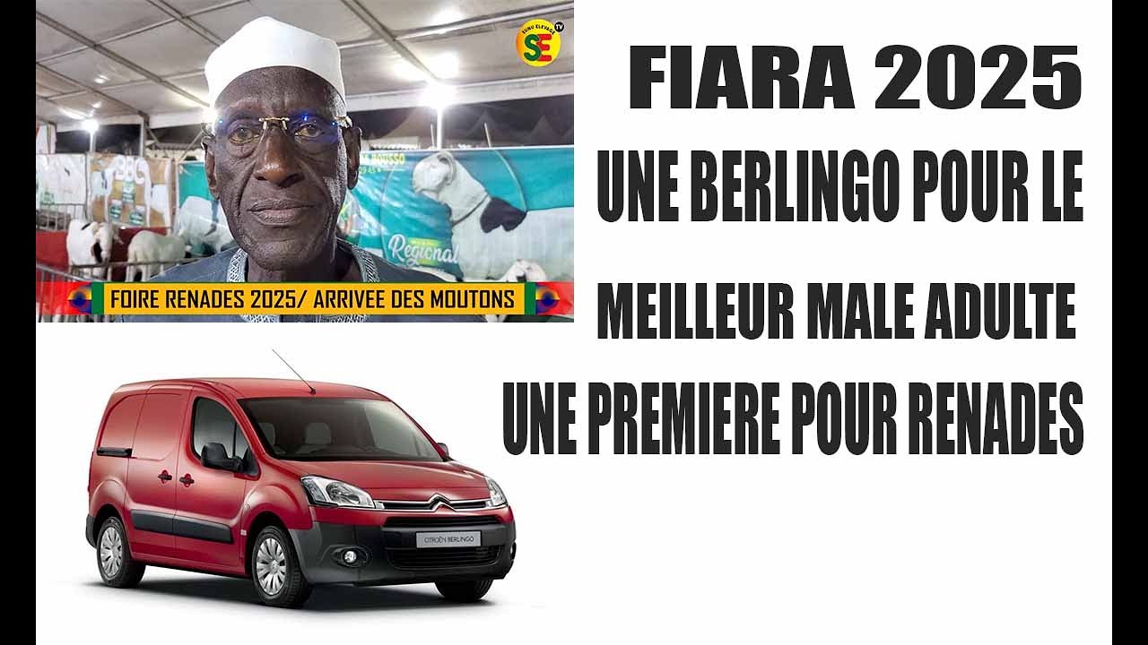 FIARA 2025 / UNE BERLINGO POUR LE MEILLEUR MALE ADULTE , UNE PREMIERE ...