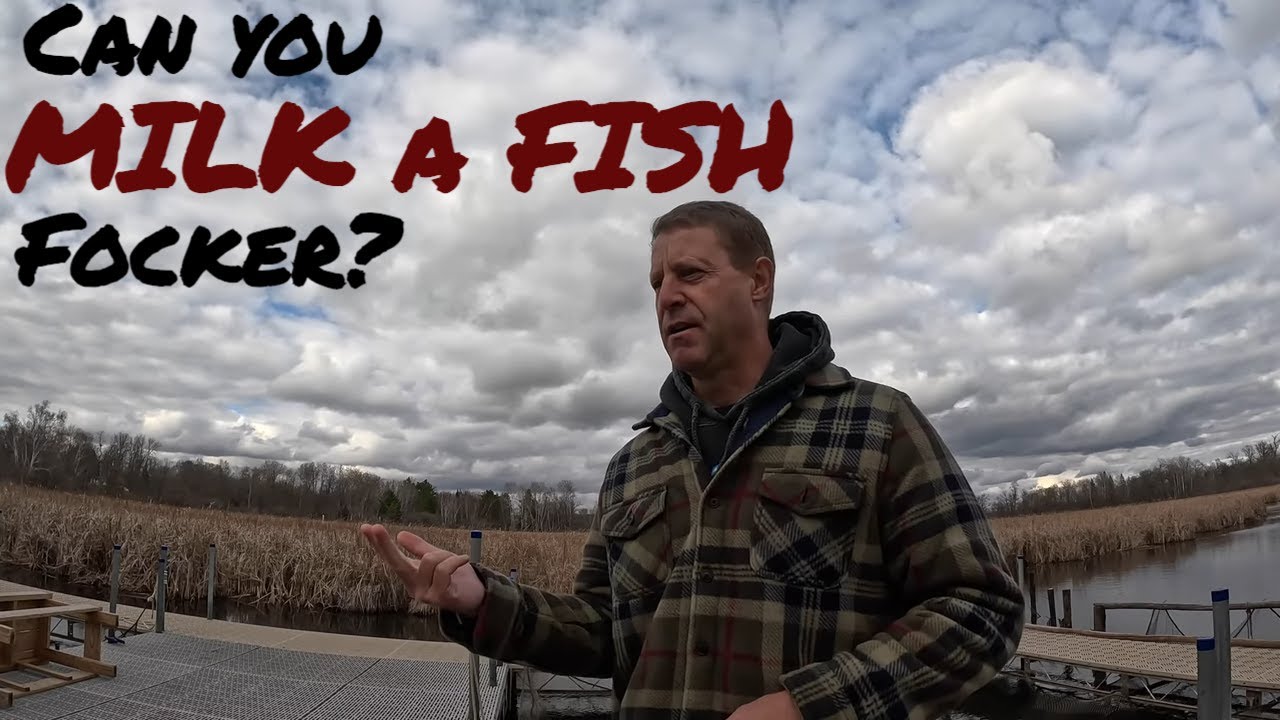 I GOT A JOB! Working at a Minnesota Walleye Fish Hatchery. - YouTube