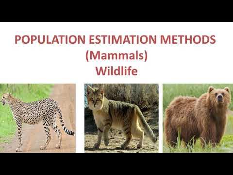 Population Estimation Methods || Estimation Techniques || Population Estimate, Projection ...