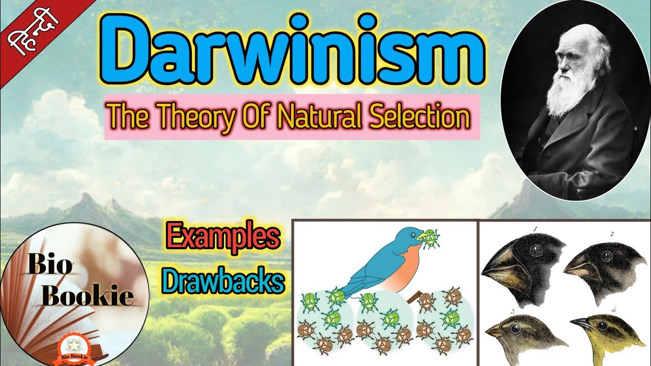 Darwin's Theory Of Evolution || Darwinism || Theory Of Natural ...