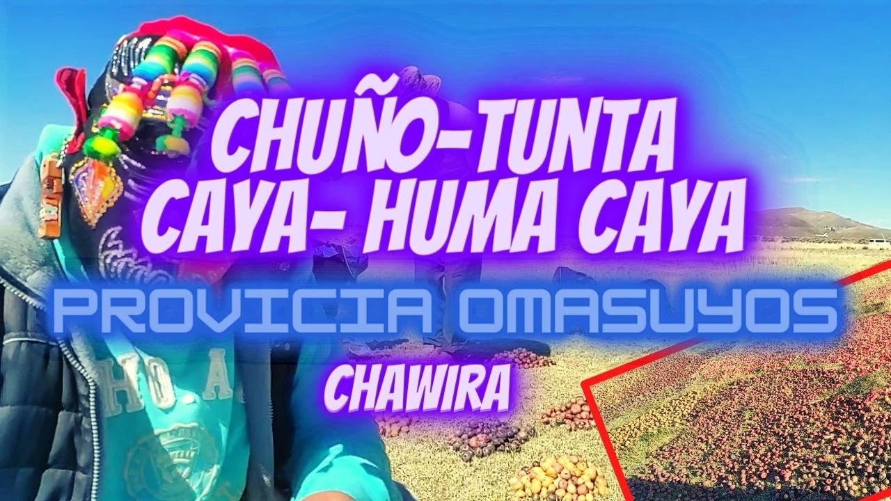 chuño, tunta, caya, huma caya (proceso de elaboración) - YouTube