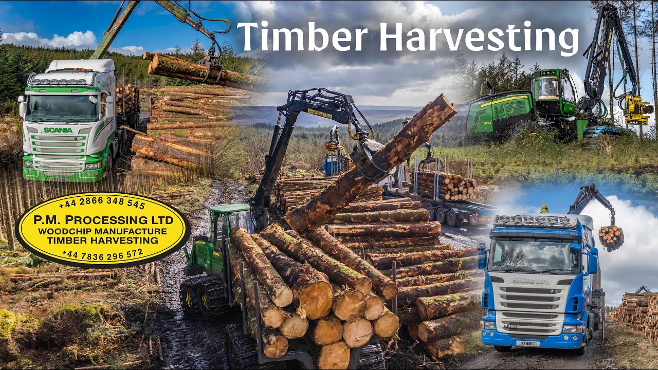 PM Processing Timber Harvesting | John Deere - YouTube