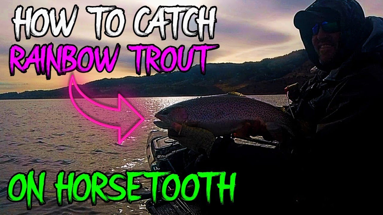 How To Catch BIG Rainbow Trout On Horsetooth Reservoir! - YouTube