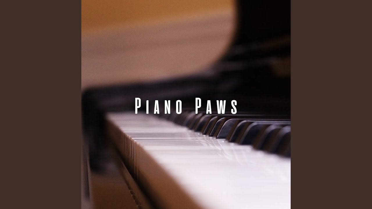 Piano Duets with our Furry Friends - YouTube