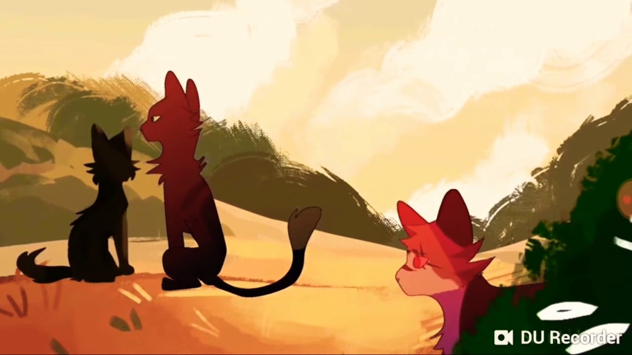 Cat oz - YouTube
