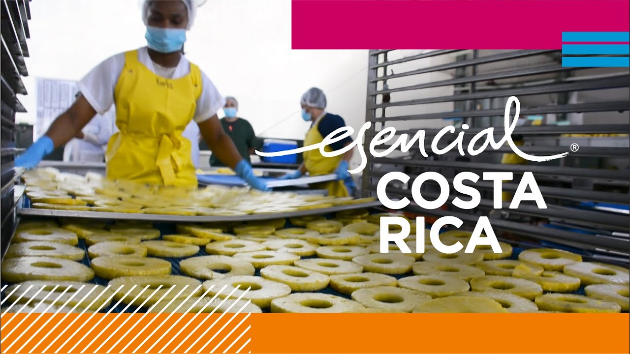 Alimentos especializados de Costa Rica: calidad premium para mercados ...
