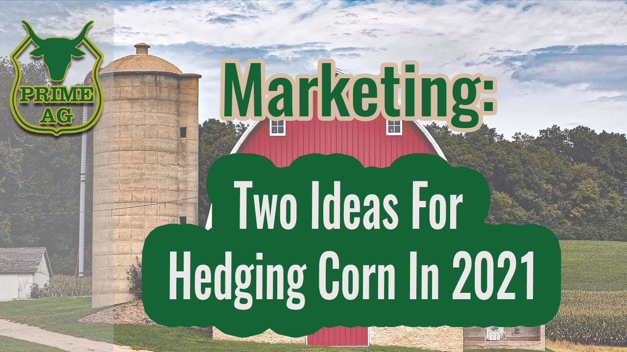 Two Ideas For Hedging The '21 Corn Crop - YouTube