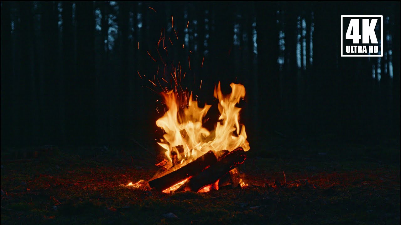 Forest Campfire at Dusk. Relax to the sound of a fire - YouTube