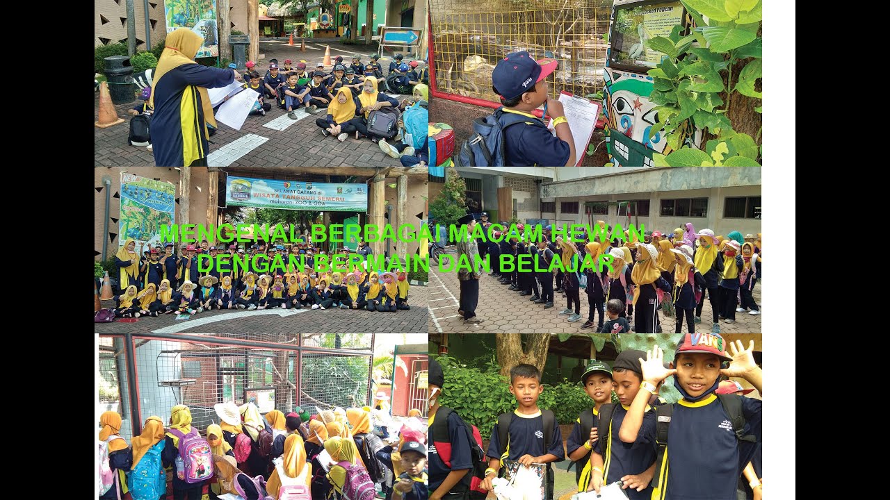 BAG 1 STADY TOUR MANZOLLA 2020 MI MAMBAUL ULUM DAGAN - YouTube