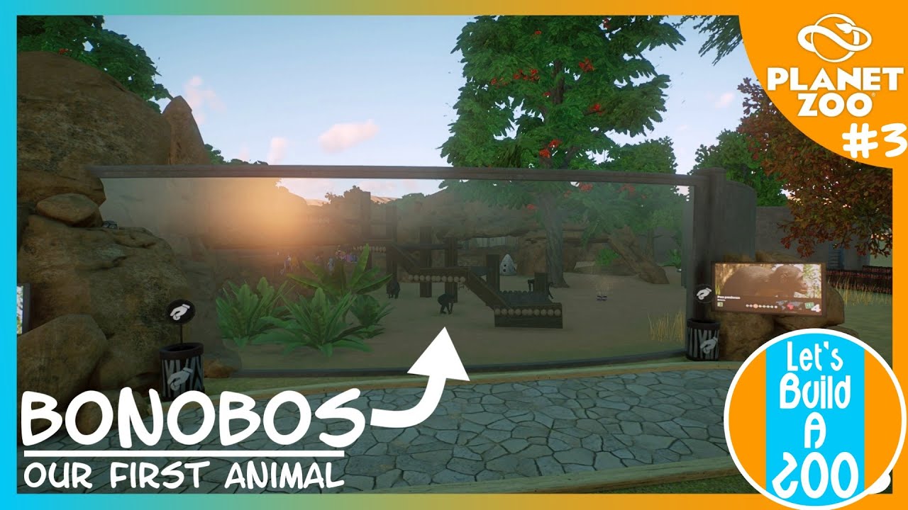 Our First Animal; Bonobos | Let's Build A Zoo | Planet Zoo Sandbox #3 ...