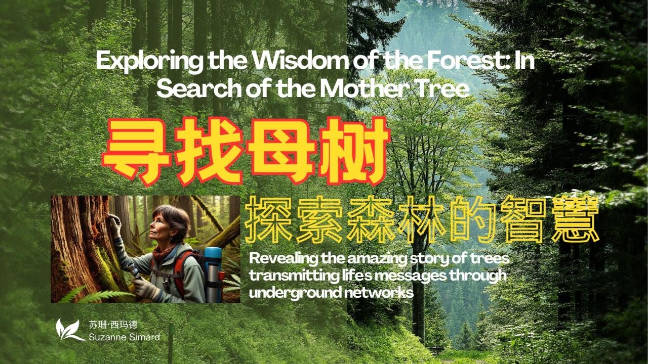34, Exploring the Wisdom of the Forest- In Search of the Mother Tree ...