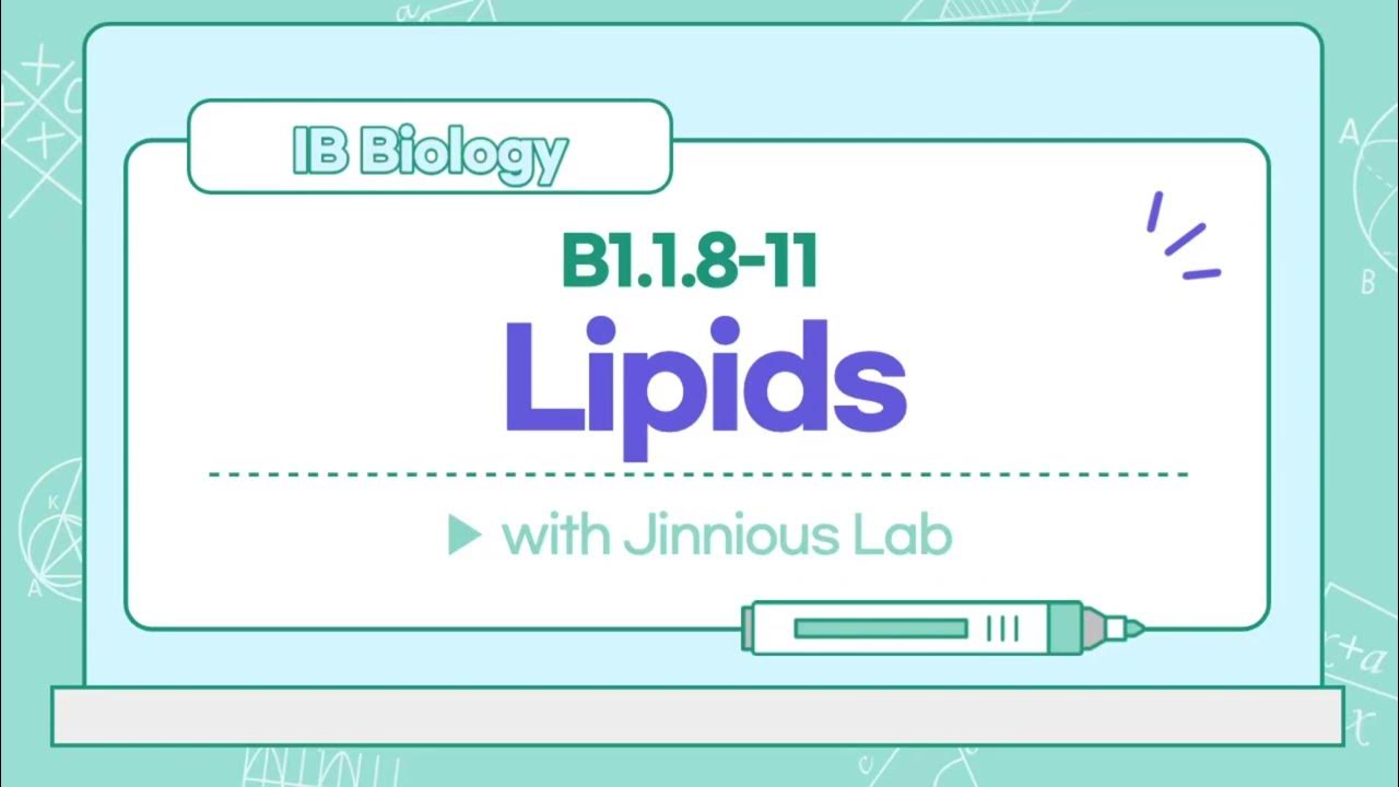 [IB Biology] B1.1.8-11 Lipids - YouTube