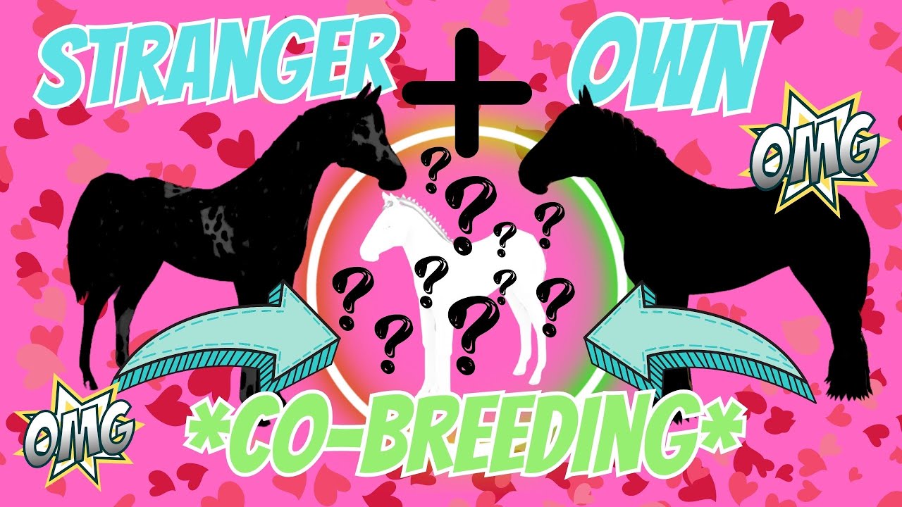 CO-BREEDING WITH RANDOM STRANGERS ON WILD HORSE ISLANDS. ROBLOX - YouTube