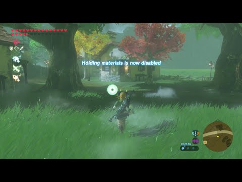 Testing BOTW Randomizer & Second Wind mods together - YouTube
