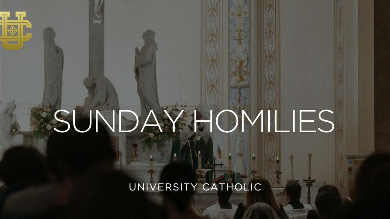 Homily - 8th Sunday of Ordinary Time - YouTube