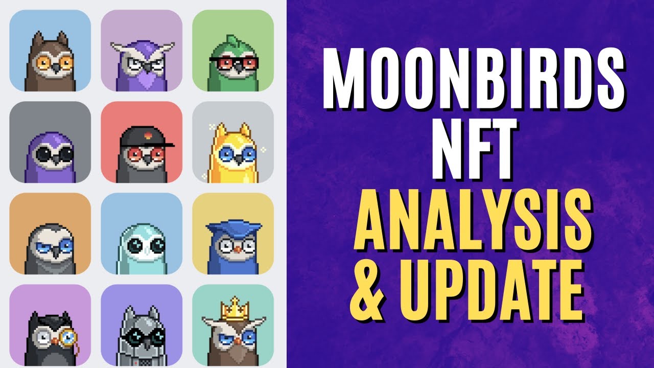 Moonbirds NFT: Analysis & Update (+400% in 6 Hours) - YouTube