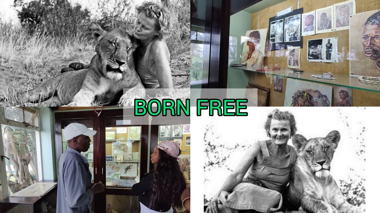 LADY WHO LIVED WITH LIONS|| JOY ADAMSON AND ELSA THE LIONESS|| BORNFREE ...