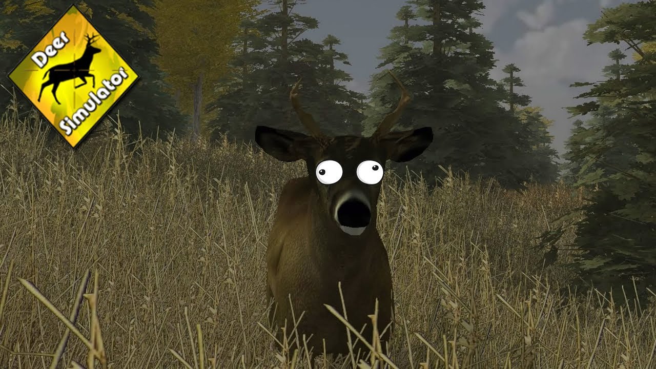 WHAT AM I PLAYING!? | Deer Simulator - YouTube
