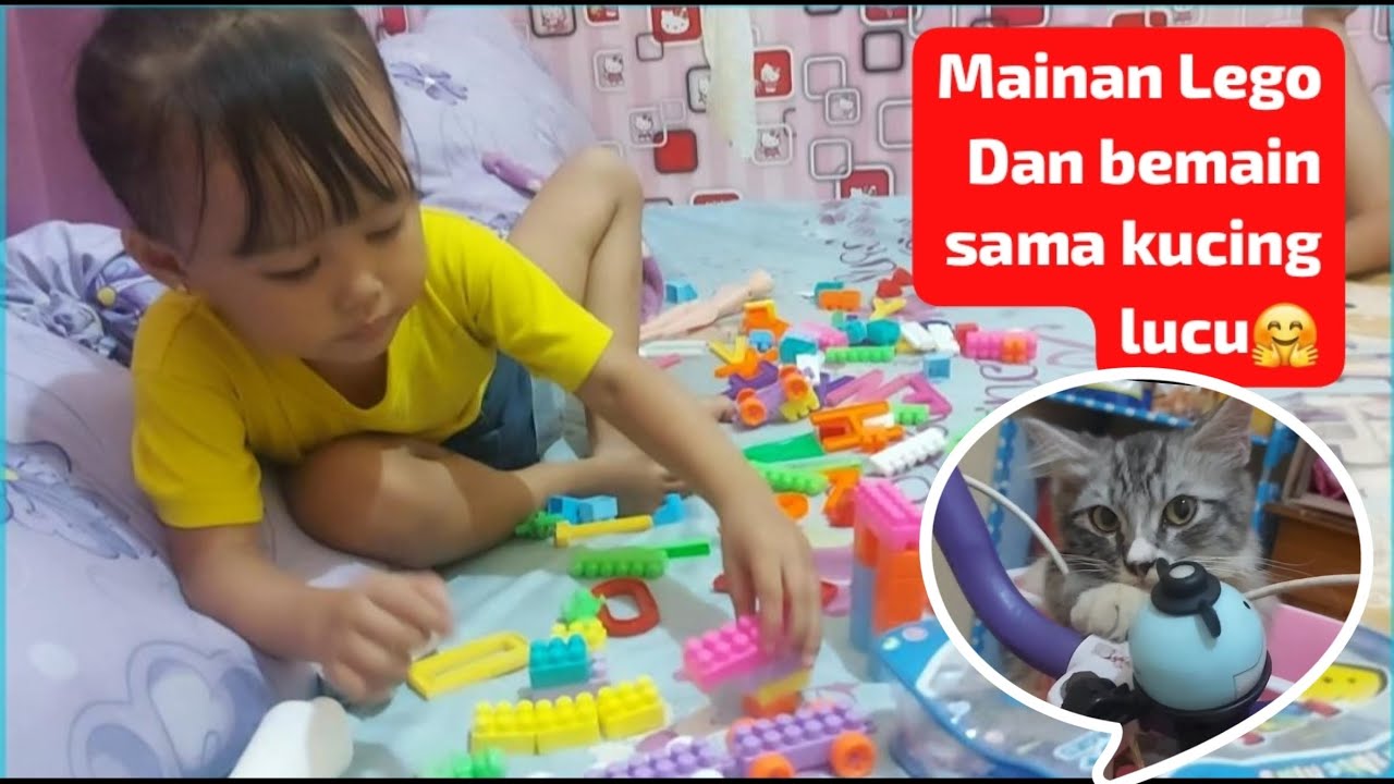 Mainan lego dan bermain sepeda dengan kucing lucu yang menggemaskan ...