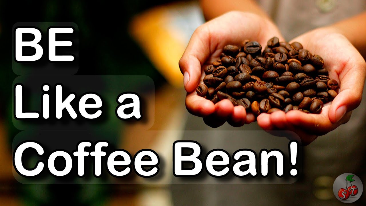 Be Like A Coffee Bean | Motivational Video - YouTube