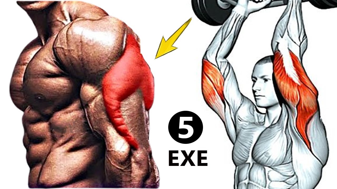 Build Massive Triceps : No Excuses Workout - YouTube