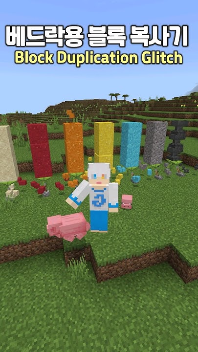 How to Duplicate Blocks in Minecraft 😲 #Minecraft #minecraftbuild #마인 ...