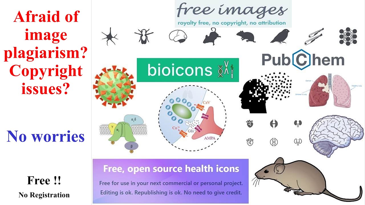 Free images to use for research articles without any copyright issues ...