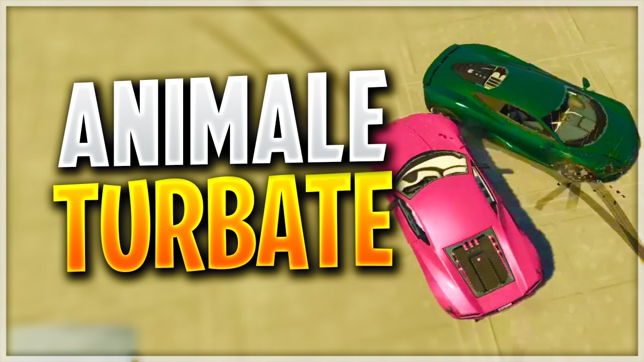 ANIMALE TURBATE pe GTA5 SUMO! *MURIM DE RAS* - YouTube