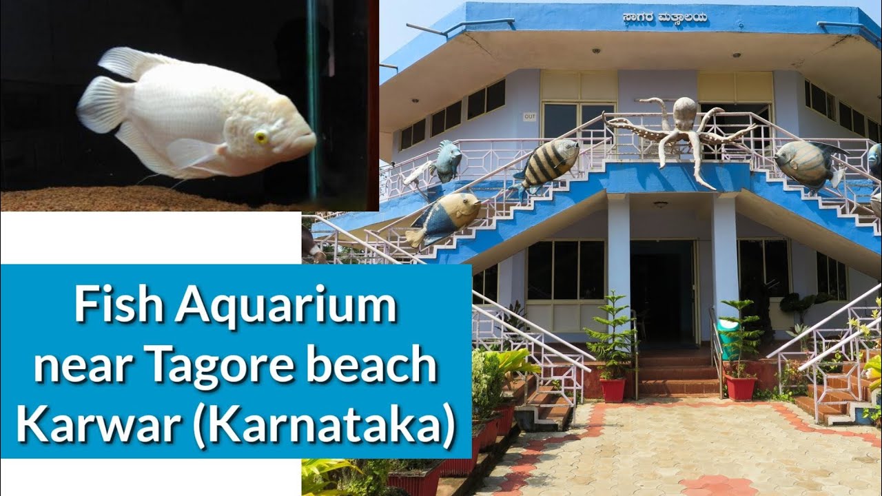 Karwar | Fish Aquarium |near Tagore Beach | Karwar |Karnataka. Karwar ...