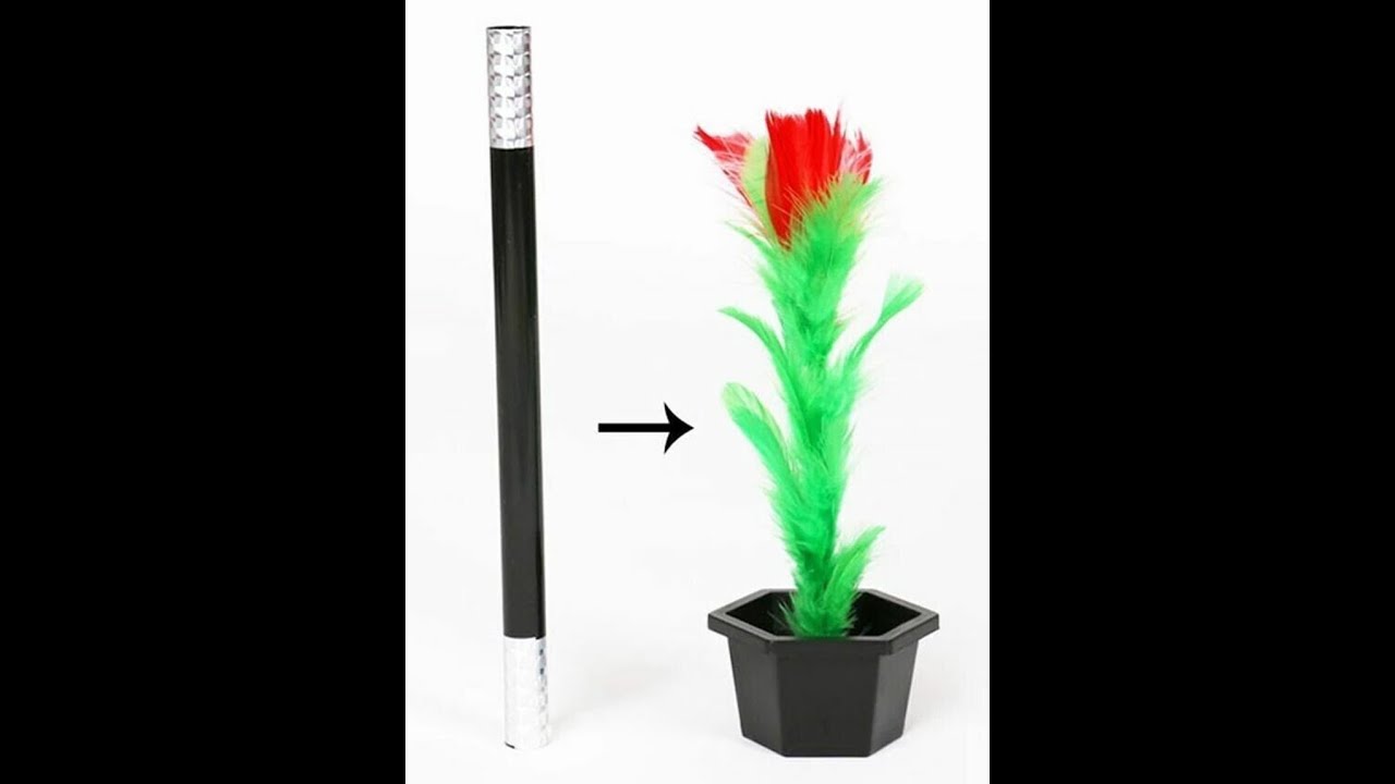 Magically Appearing Flower - YouTube