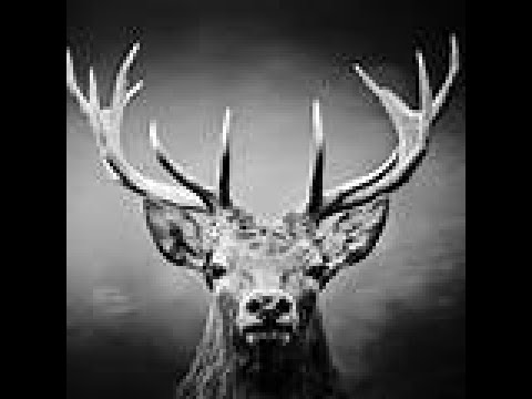 REAL 30 point buck story#hunting - YouTube