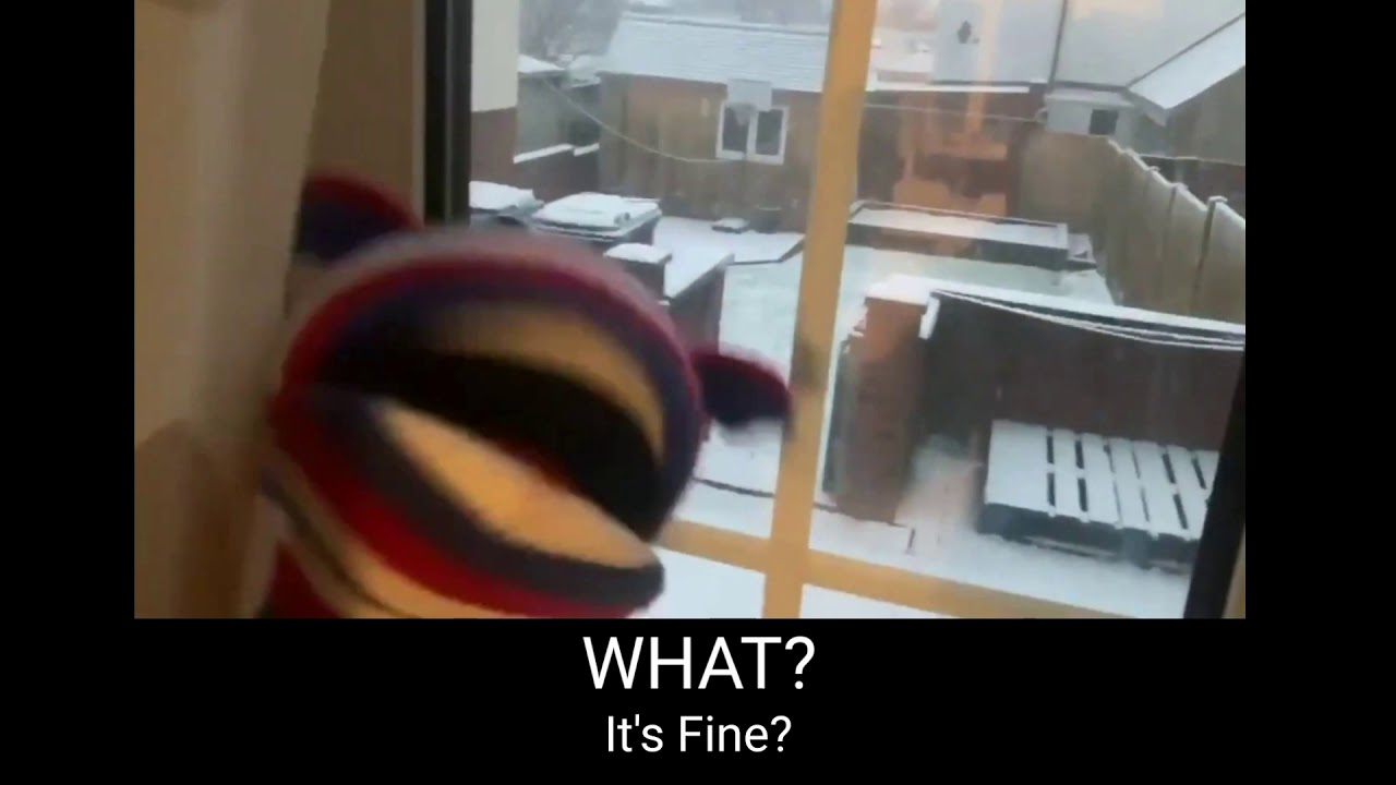 Wow. It's Finally Snowing Meme - YouTube