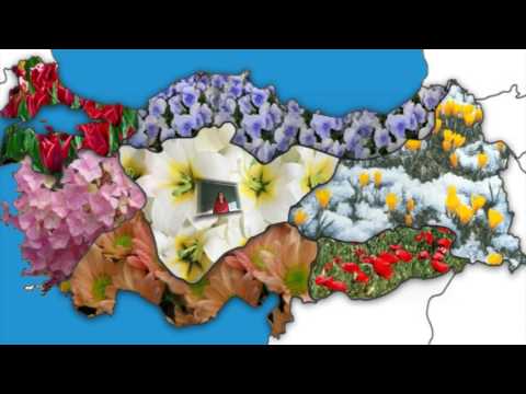 24 kasım 2014 Öğretmenler Günü