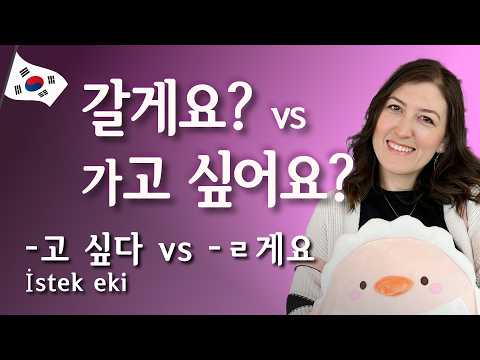 Korece İstek Cümleleri Arasındaki Farklar Neler? -고 싶다 vs -ㄹ게요 Detaylı Anlatım