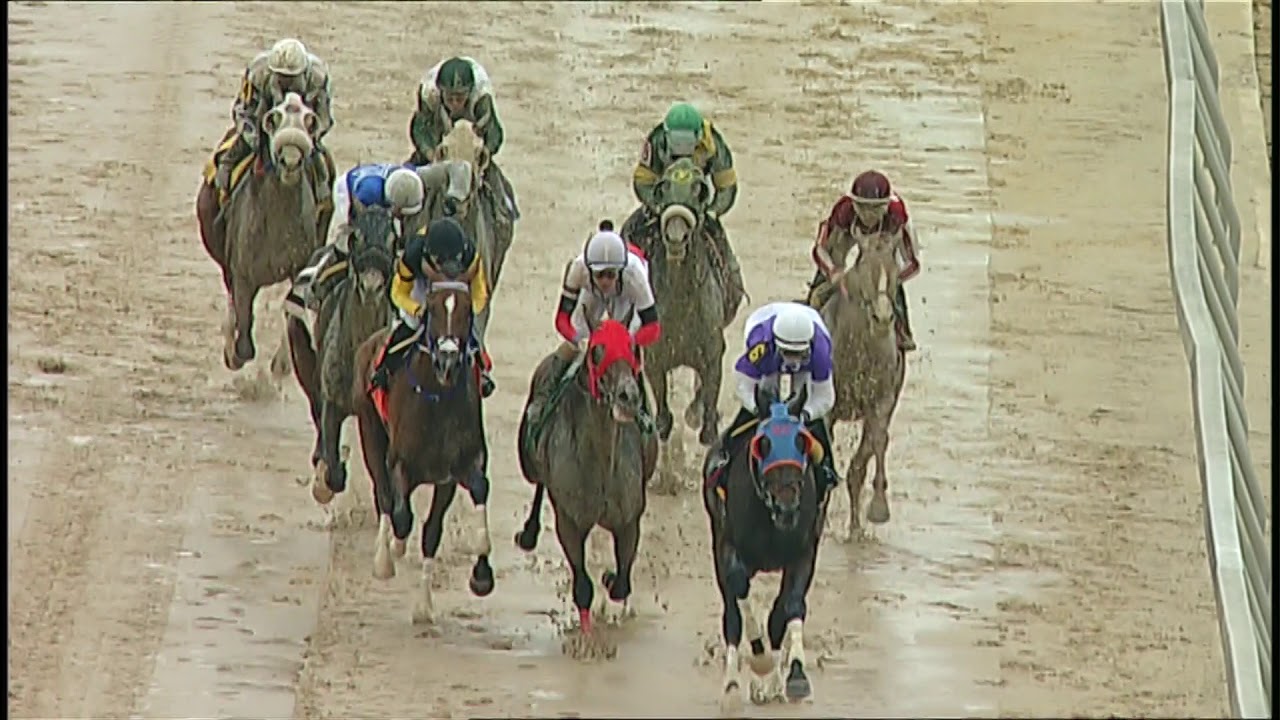 TIMONIUM 8 23 2019 RACE 8 - YouTube