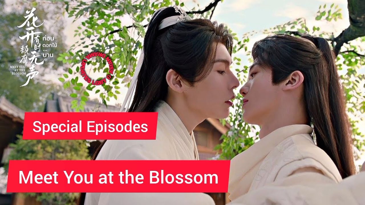 SPECIAL EPISODES Of Meet You at the Blossom Chinese BL Drama Are Coming ...