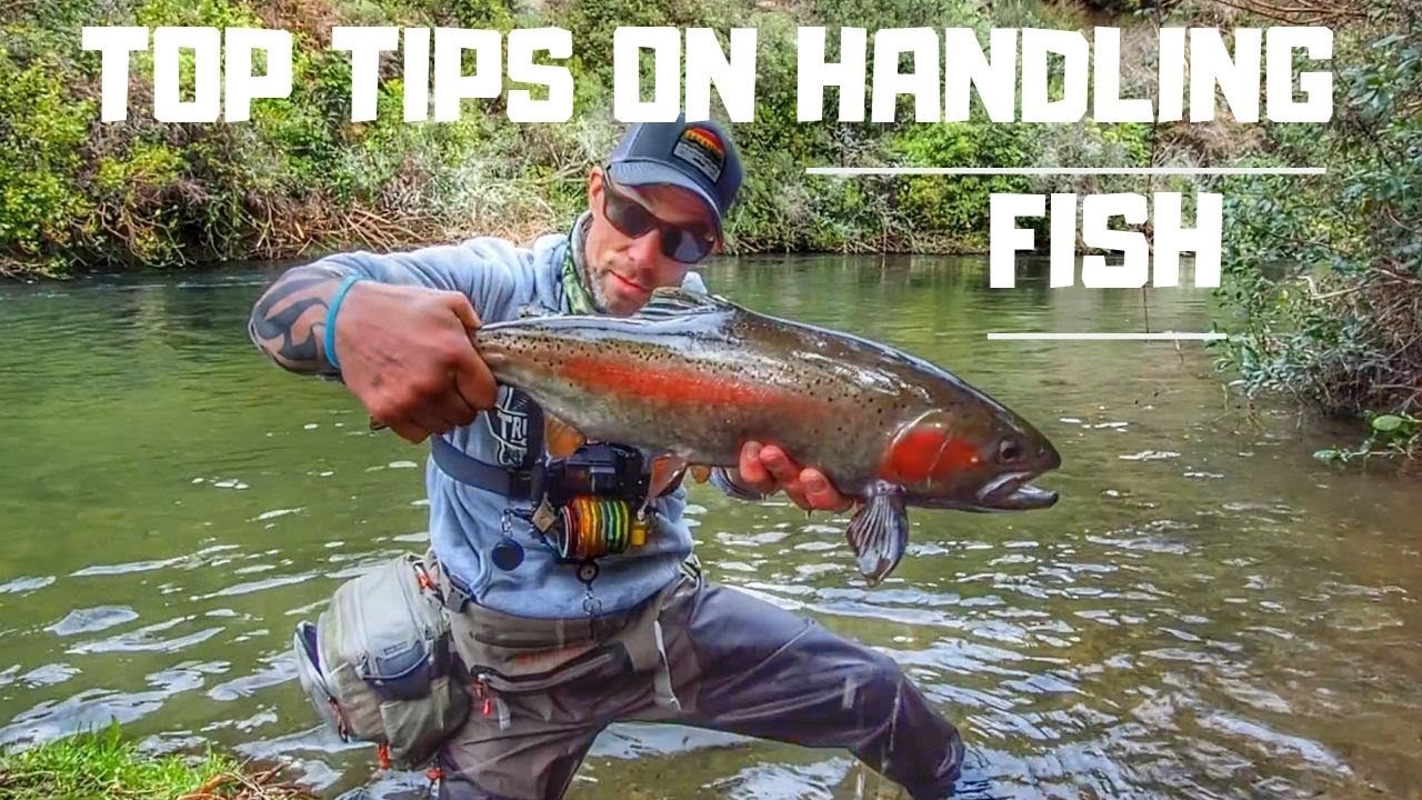 FRIDAY FILLER - HOW TO HANDLE FISH BETTER - YouTube